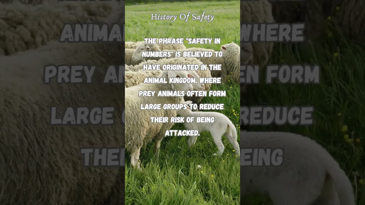 Safety in numbers: How to survive as a prey animal #shorts #animals # ...